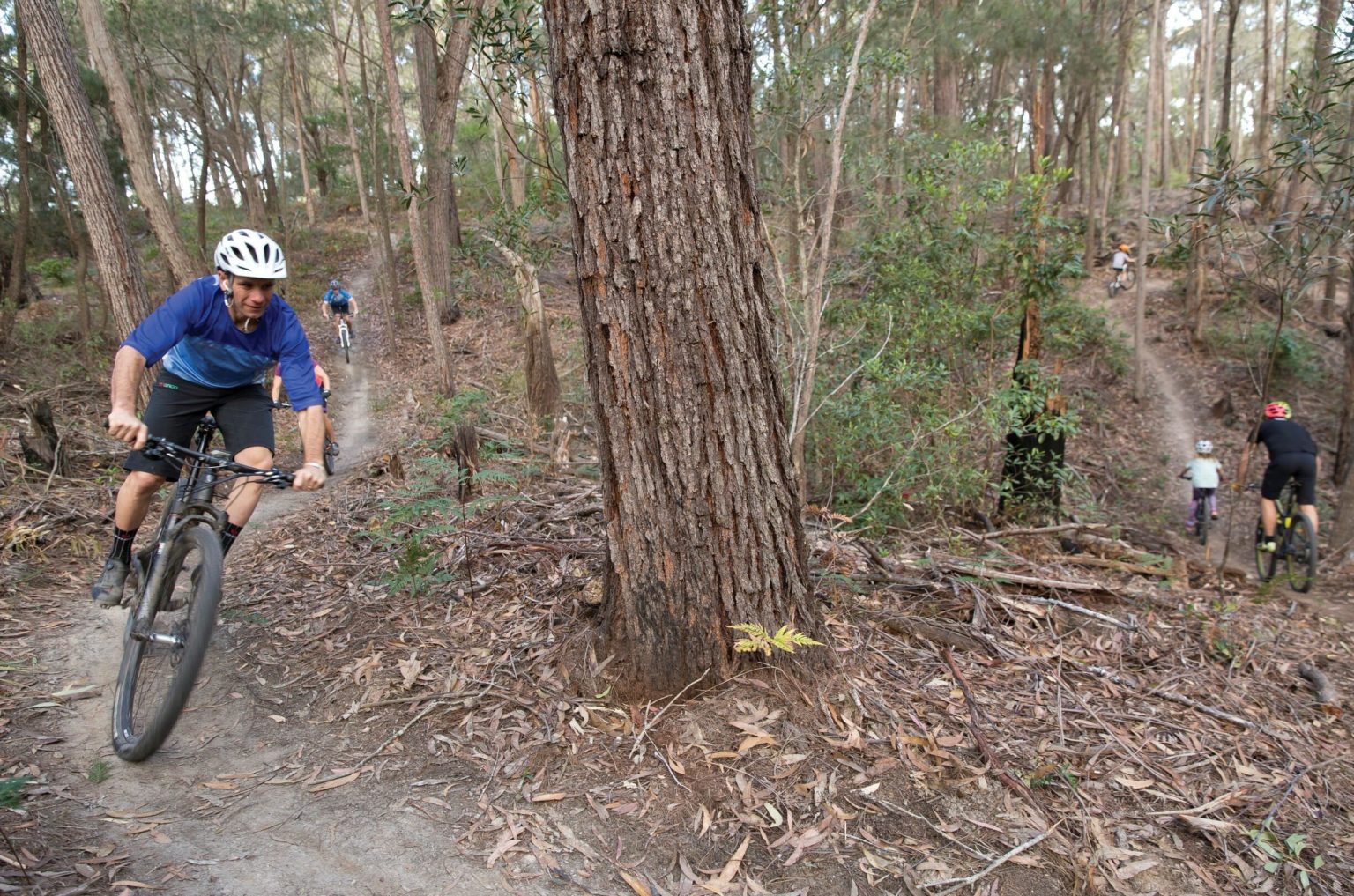South Coast bike tracks you need to ride | Family Travel