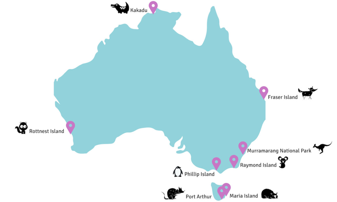 Where to find Australia's iconic native animals | Quokkas, Koalas and more