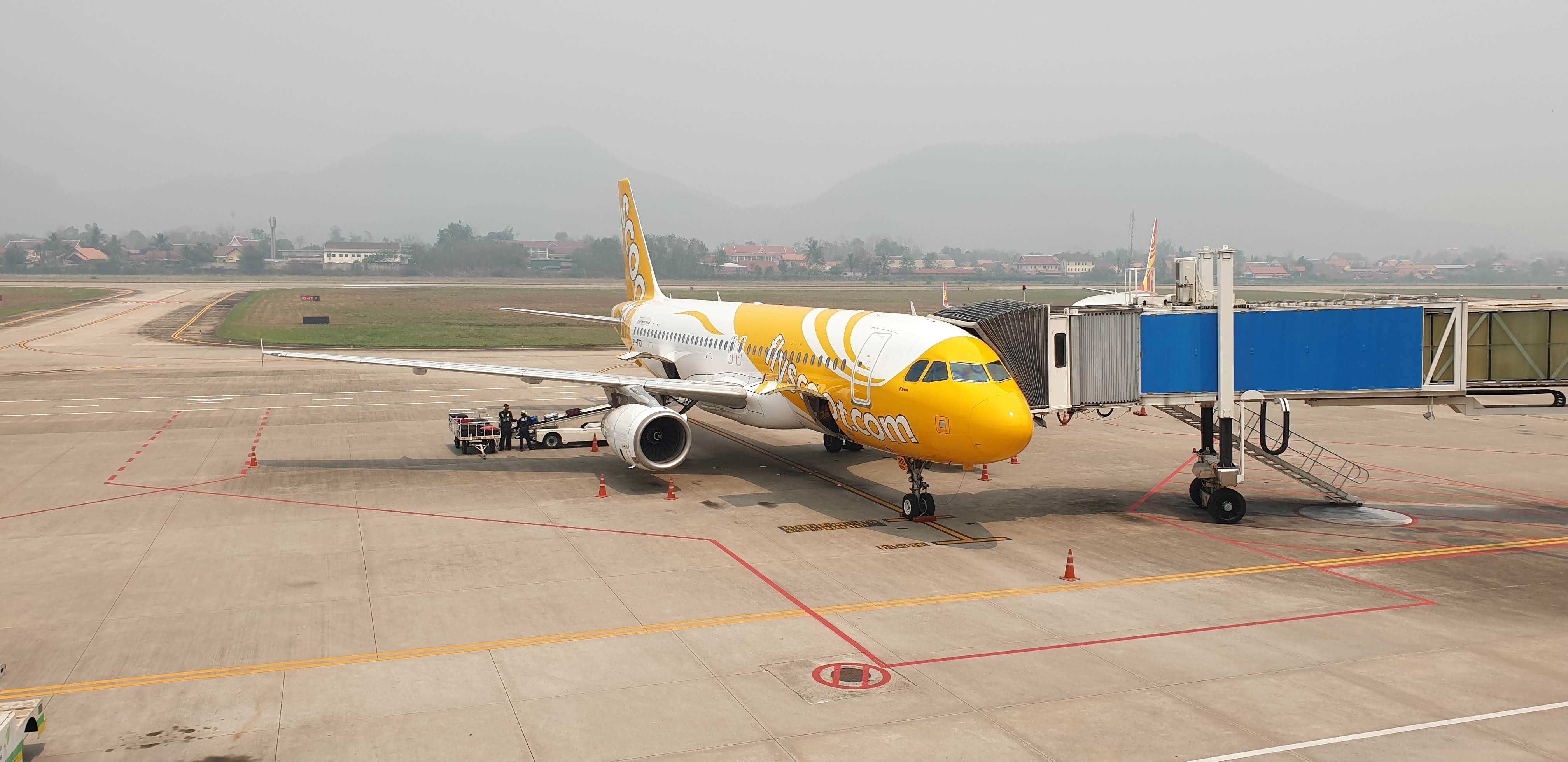 Scoot review: What it's really like to fly Scoot (with video) - Family ...