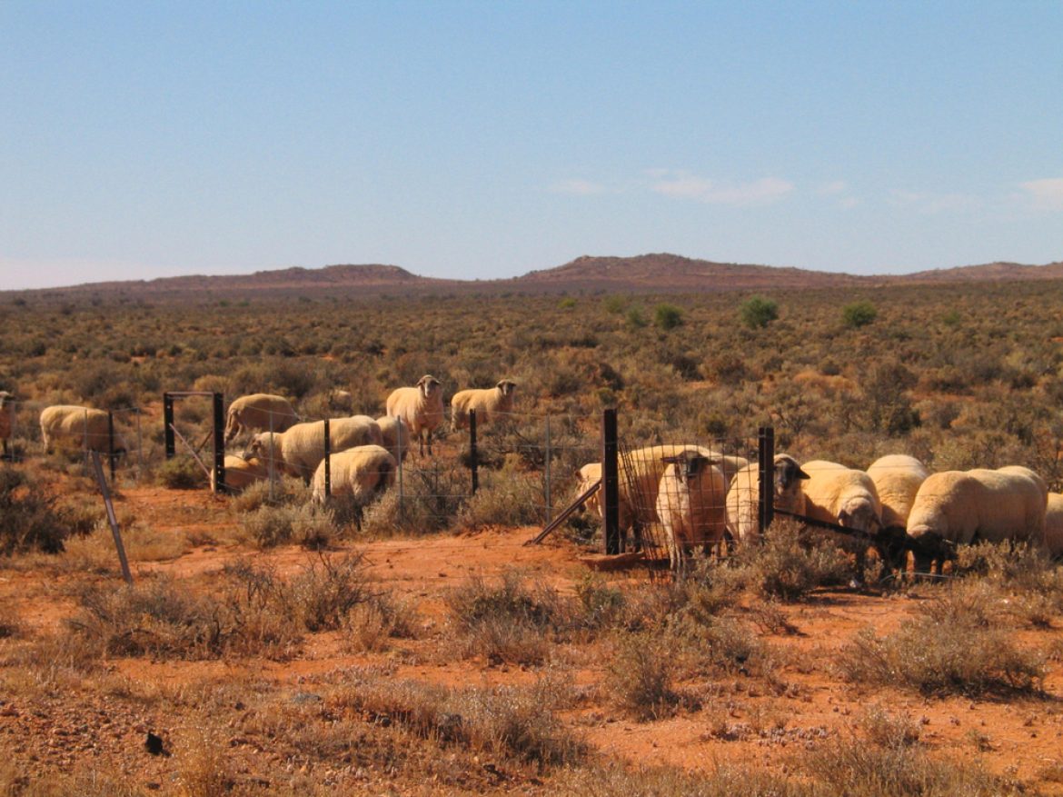 A trip to Broken Hill - How to do it with kids | Family Travel