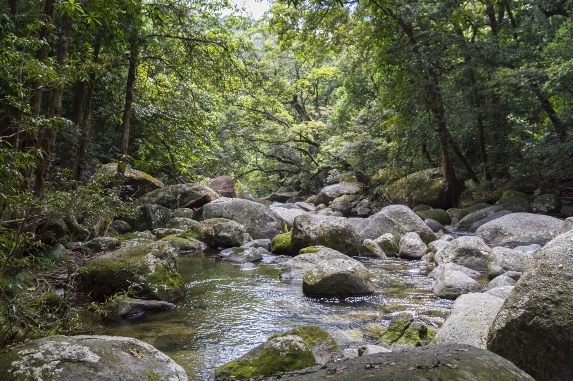 Top 12 Indigenous experiences in north Queensland - Family Travel