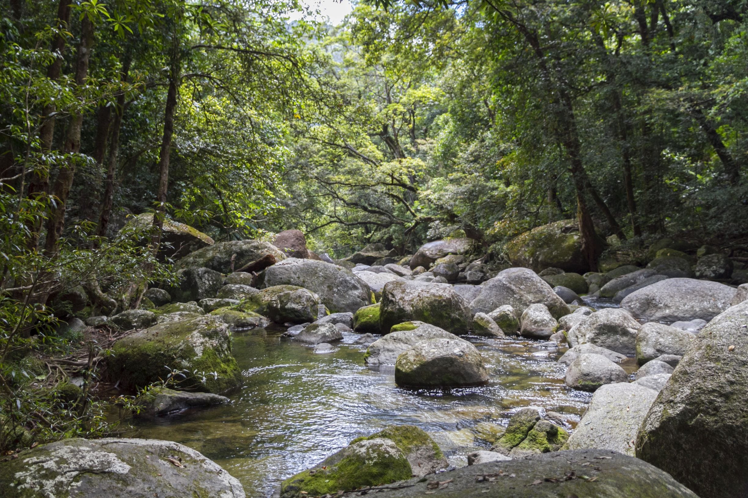 Top 12 Indigenous experiences in north Queensland - Family Travel