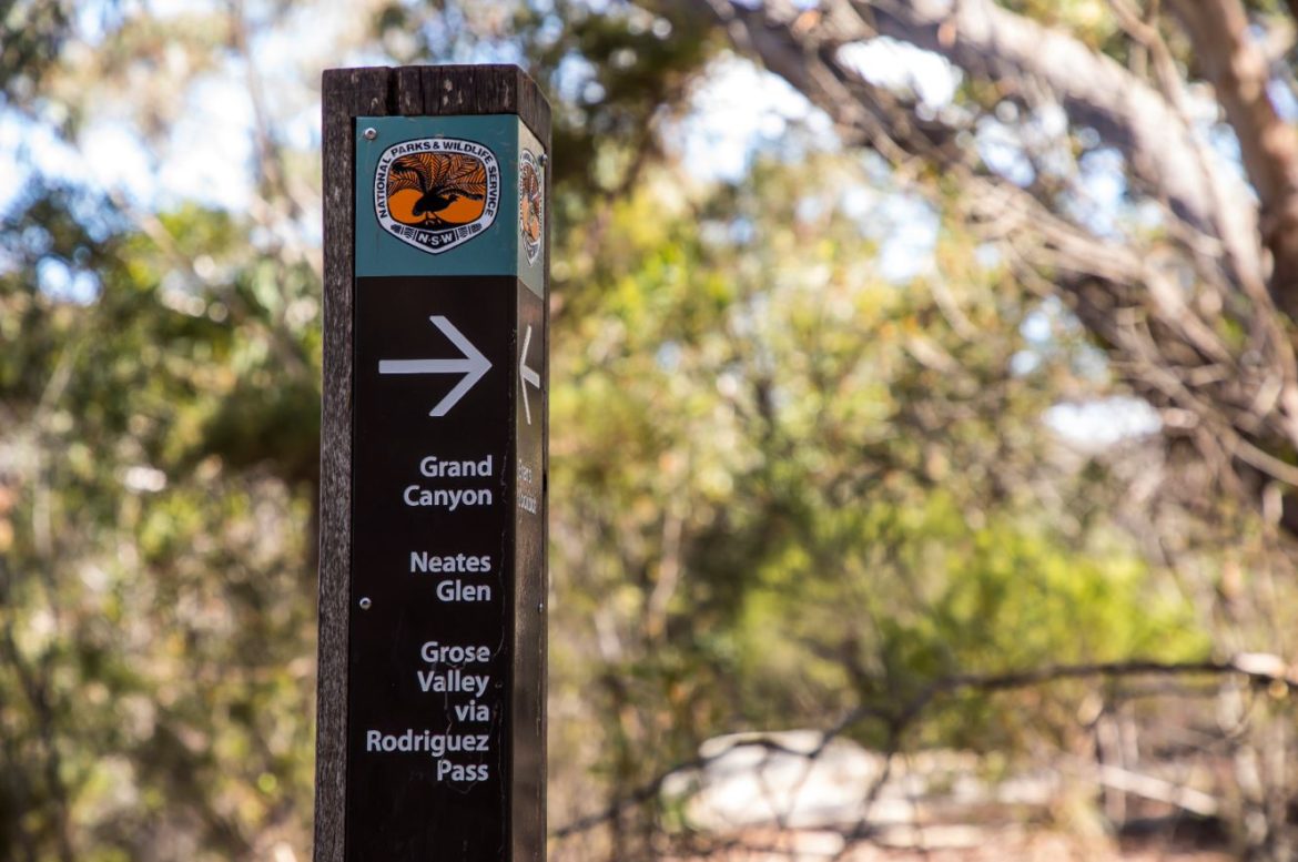 The top 11 family bush walks in Sydney - Family Travel