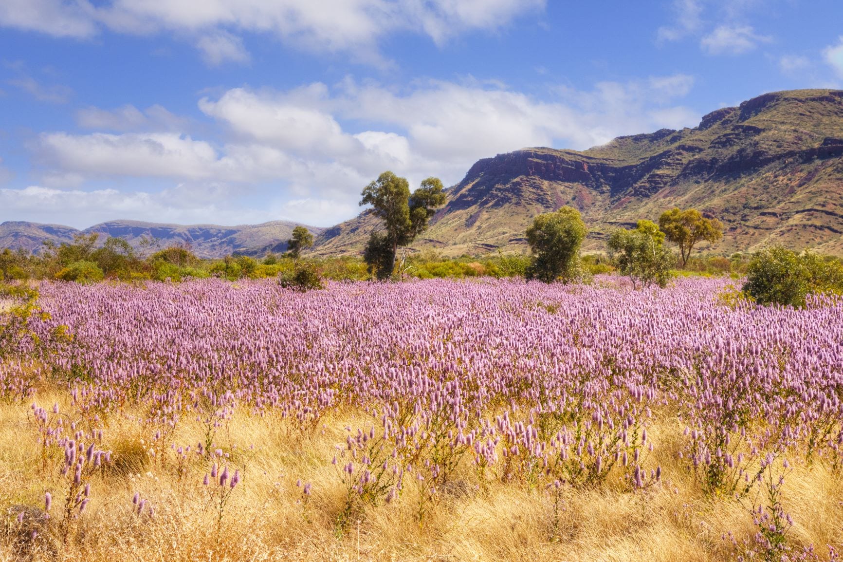 14 awesome Australian natural phenomena - Family Travel