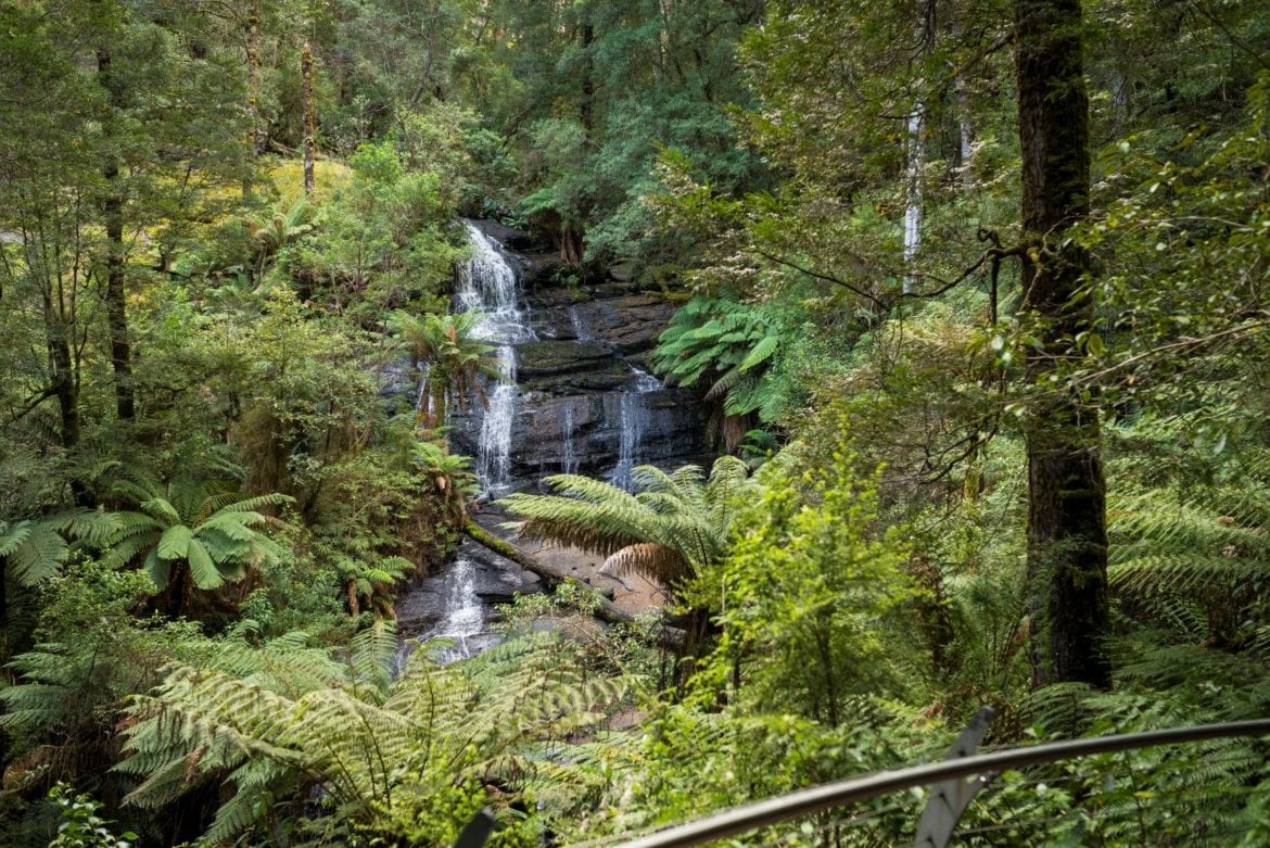 Victoria's national parks - heading outdoors with teens - Family Travel