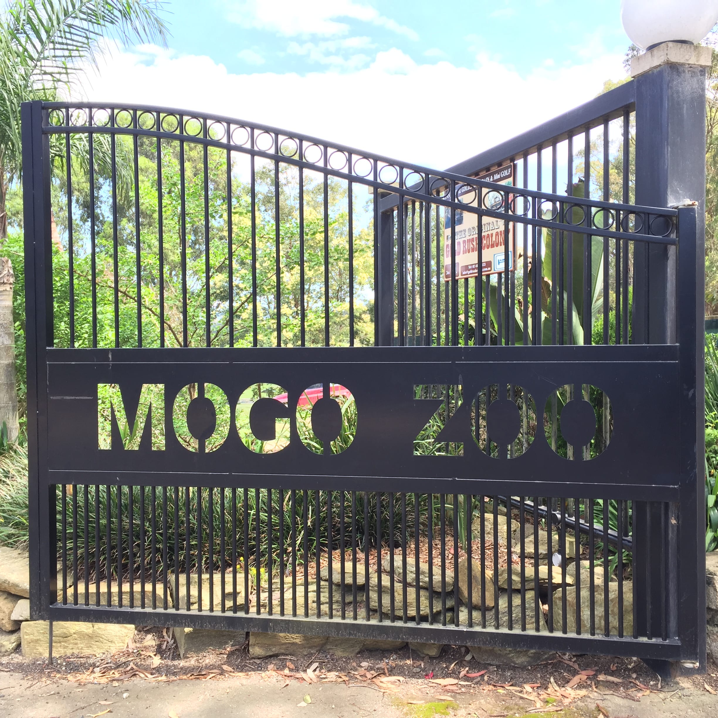 South Coast animal adventures you need to try | Family Travel