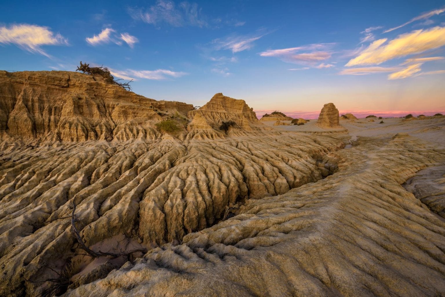 28 top activities in New South Wales for your weekend - Family Travel