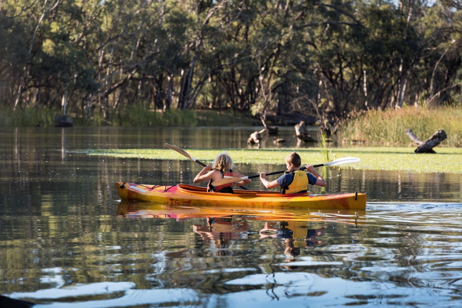 Hit the water with these must-do Murray River activities - Family Travel
